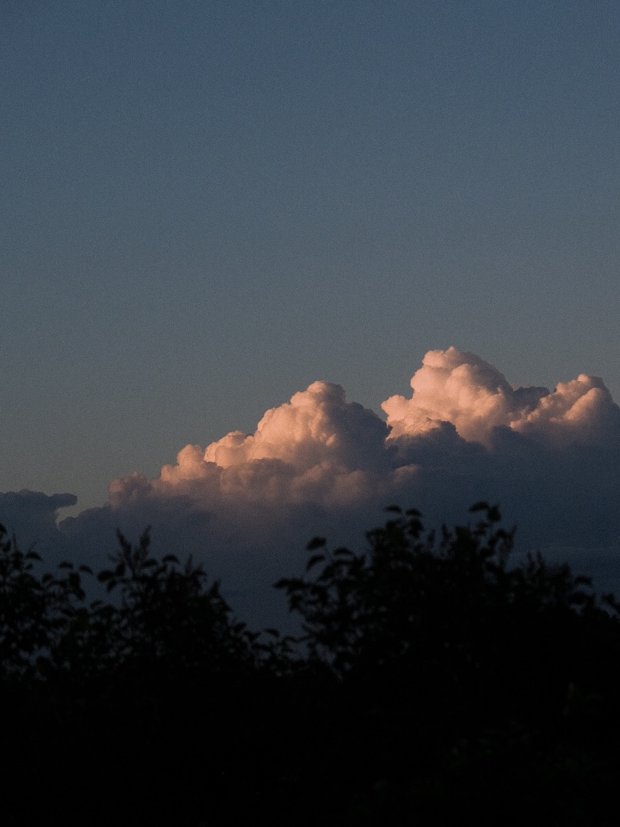 The Ultimate Guide to Camera Settings – MELISSA MARTINSEN