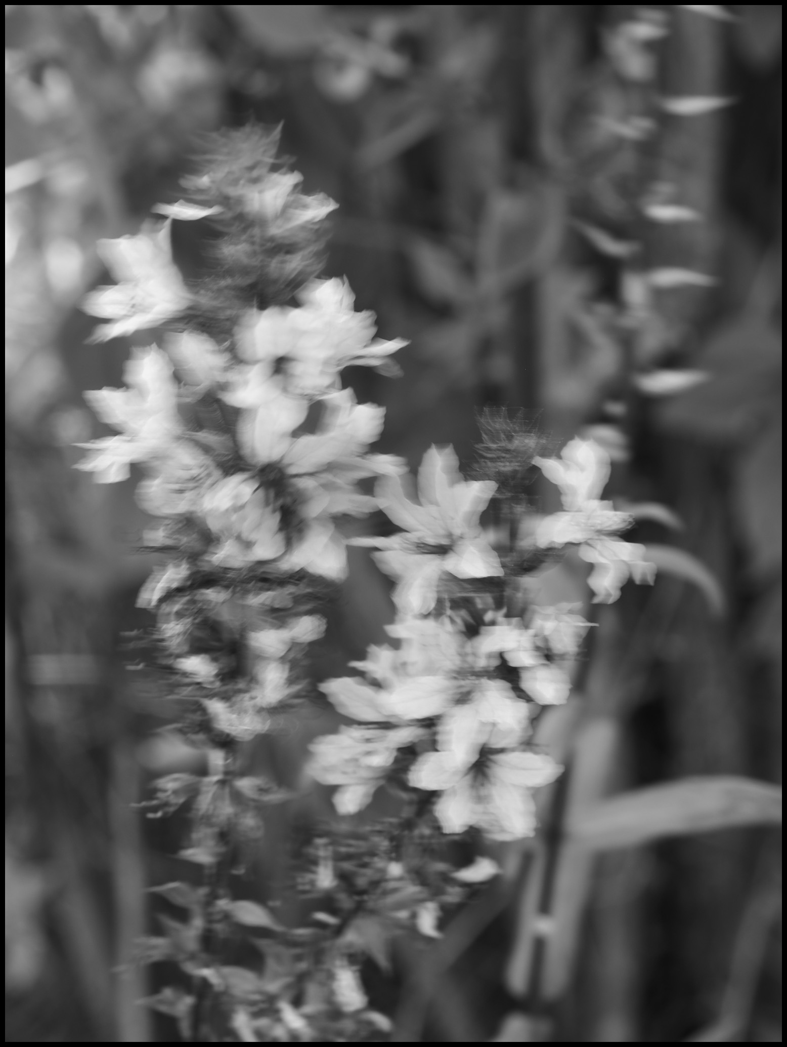 The Power of Intentional Photography: Improve Your Craft by Being ...