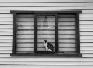 How to Create Your First Photo Essay: A Step-by-Step Guide – MELISSA ...